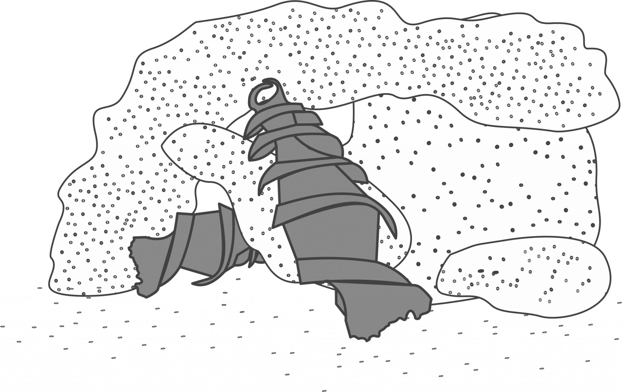 Rogatek kalifornijski | Akwarium Gdyńskie MIR-PIB